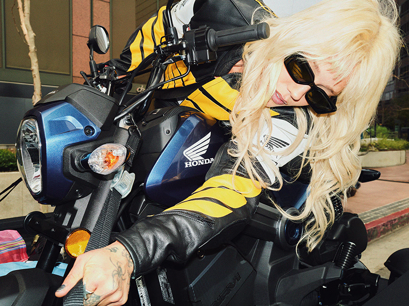 New Powersports Inventory Rochester, NY| Bidleman Powersports