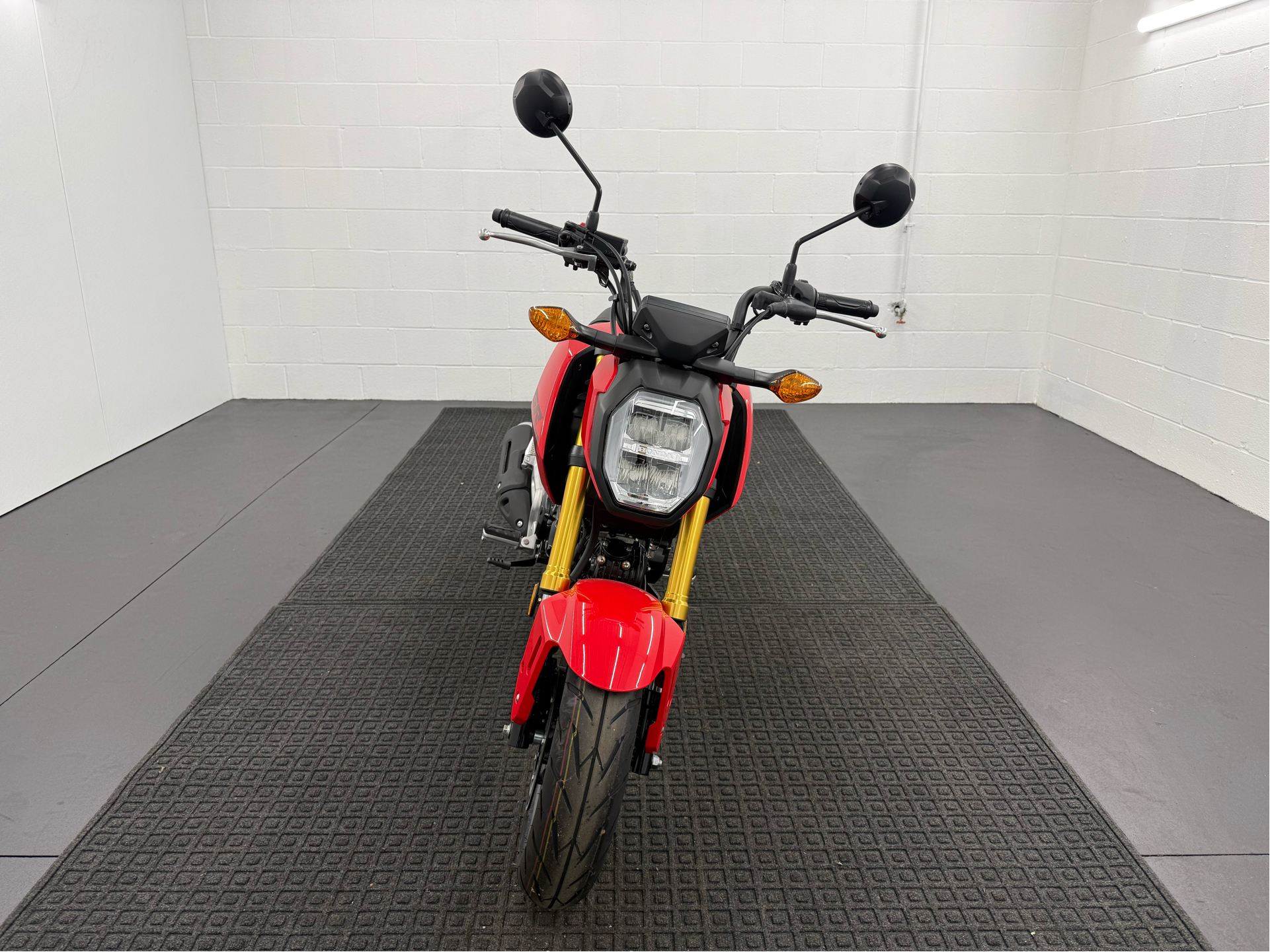 2025 Honda Grom | Bidleman Powersports